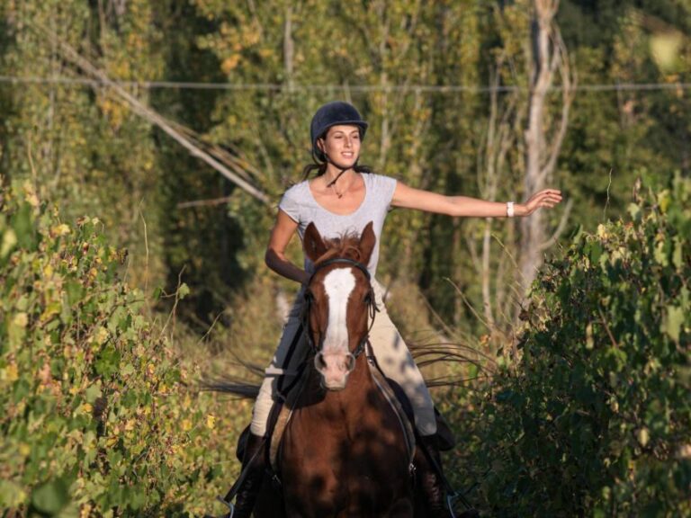 Siena: Horseback Adventure in the Tuscan Countryside - An In-Depth Look at the Itinerary and Experience