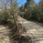Siena: Horseback Tour on the Via Francigena - Why This Tour Offers Real Value