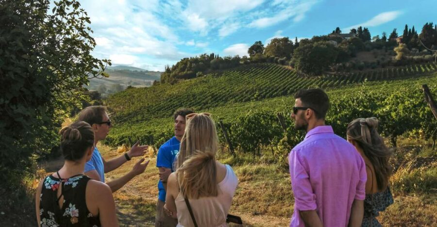 Siena: Organic Winery Tour and Wine Tasting - The Value of the Experience