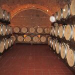 Siena & San Gimignano Day Tour & Wine Tasting from Rome - Practical Details & What to Expect
