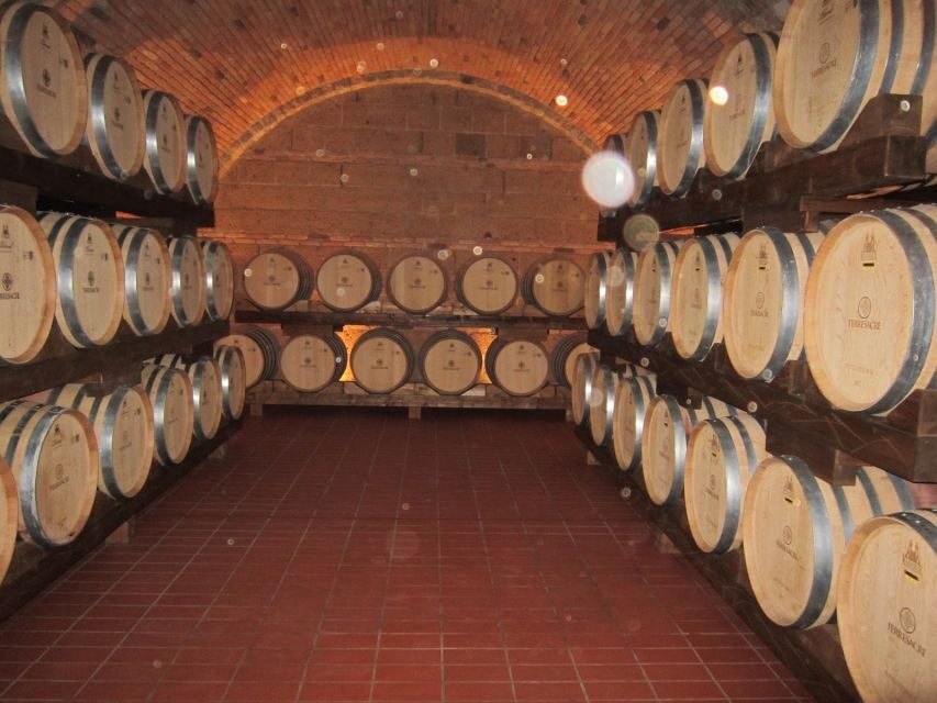 Siena & San Gimignano Day Tour & Wine Tasting from Rome - Practical Details & What to Expect