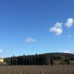 Siena: Tour and Wine Tasting in a Tuscan Private Castle - Breaking Down the Itinerary
