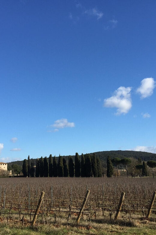Siena: Tour and Wine Tasting in a Tuscan Private Castle - Breaking Down the Itinerary