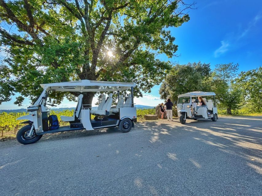 Siena: Tuk Tuk Tour with Wine Tasting - Authenticity and Experience: What Sets It Apart