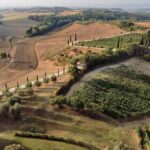 Siena: Winery tour/tasting with owner/maker of awarded wines - An In-Depth Look at the Siena Winery Tour