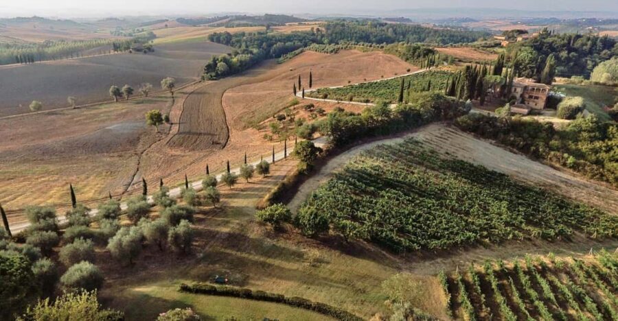 Siena: Winery tour/tasting with owner/maker of awarded wines - An In-Depth Look at the Siena Winery Tour