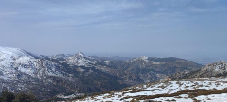 Sierra Nevada Small Group BIKE Tour - The Experience in Detail: What Youll Actually Do