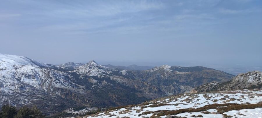 Sierra Nevada Small Group BIKE Tour - The Experience in Detail: What Youll Actually Do