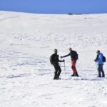 Sierra Nevada: snow tour at 3,000m of altitude - What the Reviews Say