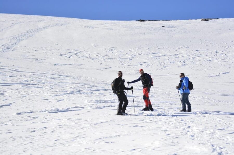 Sierra Nevada: snow tour at 3,000m of altitude - What the Reviews Say