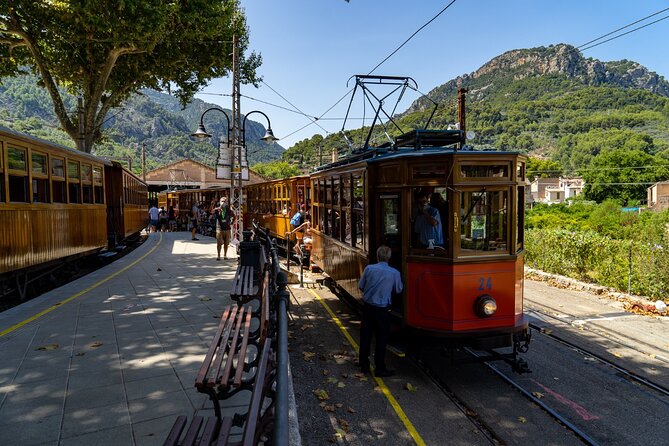 Sierra Tramuntana: Mountain Tops and Cosy Villages - The Itinerary: A Closer Look at What You’ll Experience