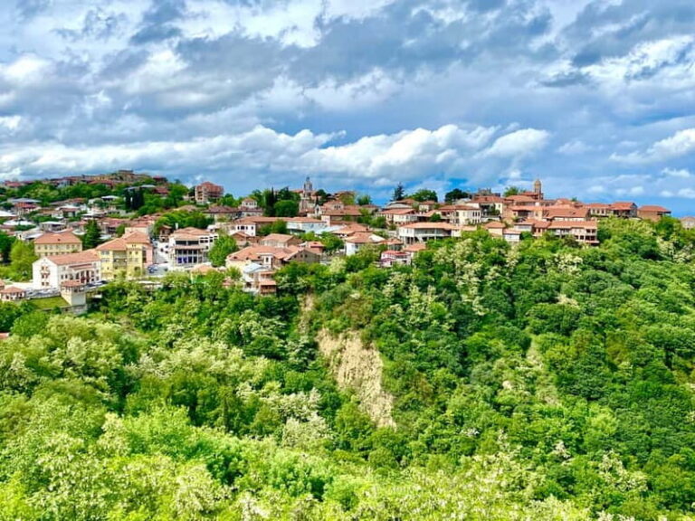 Sighnaghi, David Gareja & Rainbow mountains Private tour - Practical Details & Value