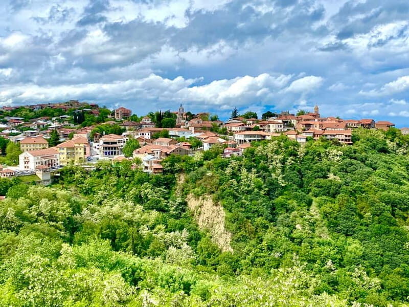 Sighnaghi, David Gareja & Rainbow mountains Private tour - Practical Details & Value