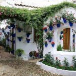 Sights, Sounds, and Scents of Córdoba's Patios - What the Tour Includes and How It Operates