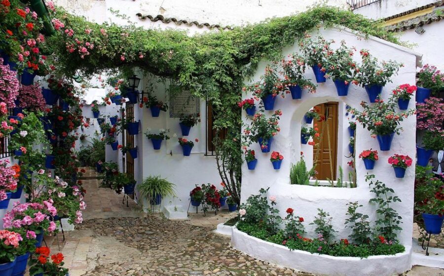 Sights, Sounds, and Scents of Córdoba's Patios - What the Tour Includes and How It Operates