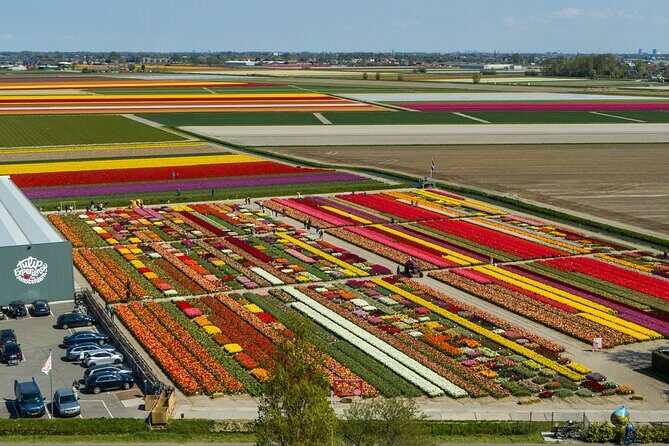 Sightseeing Keukenhof Tulip fields, Giethoorn tour from Amsterdam - Final Thoughts