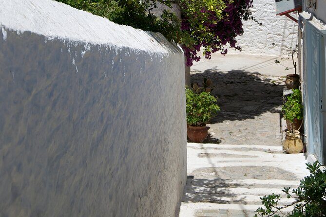 Sightseeing Private Tour in Athens Acropolis (Elysium Travel) - What Makes This Tour Stand Out?