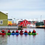 Siglufjörður / Siglufjordur: Guided kayak tour. - What Makes This Kayak Tour Stand Out?