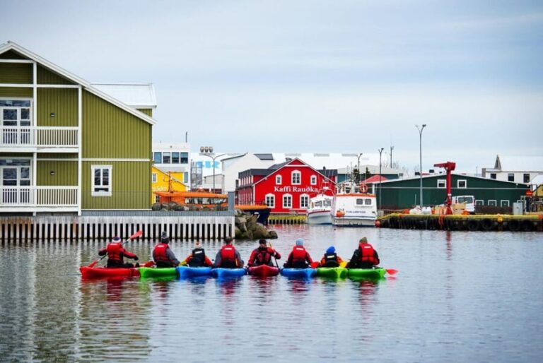 Siglufjörður / Siglufjordur: Guided kayak tour. - What Makes This Kayak Tour Stand Out?