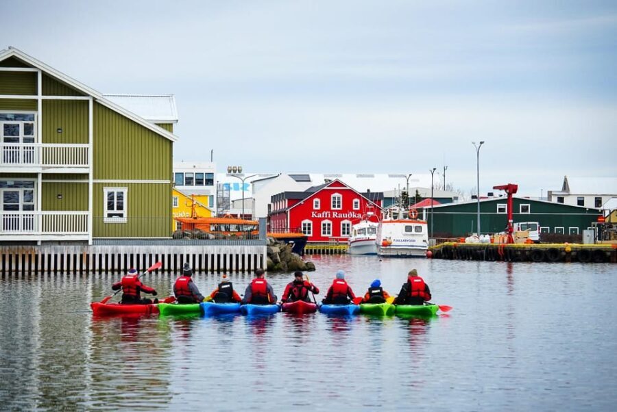 Siglufjörður / Siglufjordur: Guided kayak tour. - What Makes This Kayak Tour Stand Out?