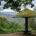 Sigulda Hiking Tour: A Day in the Switzerland of Latvia - Who Should Consider This Tour?