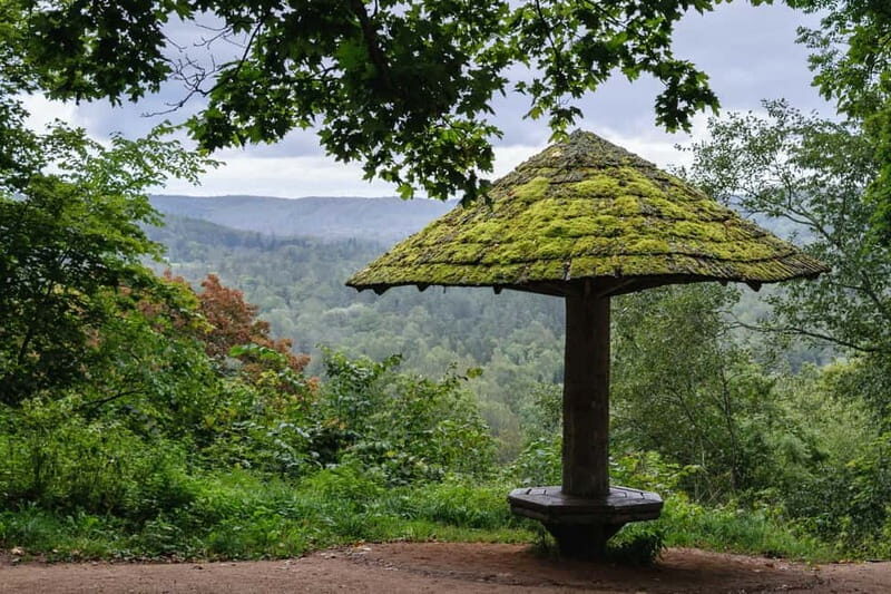 Sigulda Hiking Tour: A Day in the Switzerland of Latvia - Who Should Consider This Tour?