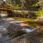 Silves, Caldas and Monchique Wine Tasting: Full Day Tour - Transportation and Logistics