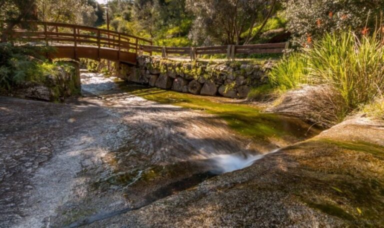 Silves, Caldas and Monchique Wine Tasting: Full Day Tour - Transportation and Logistics