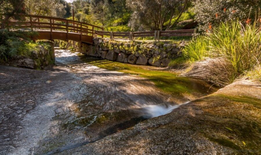 Silves, Caldas and Monchique Wine Tasting: Full Day Tour - Transportation and Logistics