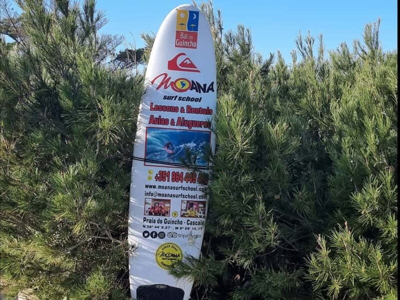 Sintra, Cascais, Cabo da Roca dia completo - An In-Depth Look at the Tour
