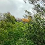 Sintra, Lisboa, - Exploring Lisbon: A City of Contrasts