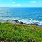 Sintra: Magoito Sunset and BBQ Tour - Discovering the Magoito Experience: An In-Depth Look