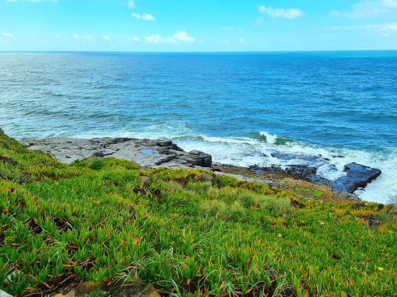 Sintra: Magoito Sunset and BBQ Tour - Discovering the Magoito Experience: An In-Depth Look