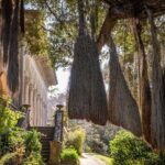 Sintra: Monserrate Palace & Park Ticket - Authentic Reviews — What Visitors Say