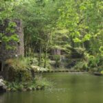 Sintra: Pena Palace Gardens & Chalet/Garden Condessa d'Edla - The Itinerary: What to Expect
