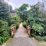 Sintra: Queluz Palace, Biester Palace, and Colares Winery - Final Thoughts