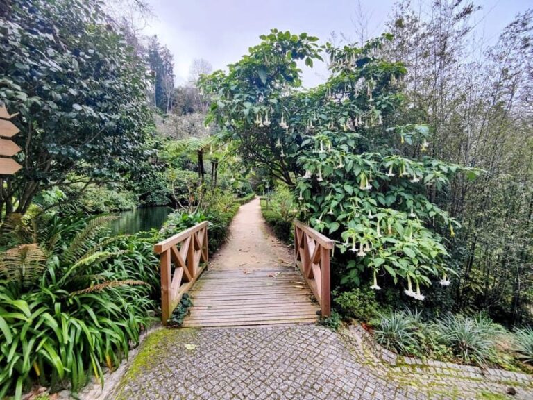 Sintra: Queluz Palace, Biester Palace, and Colares Winery - Final Thoughts