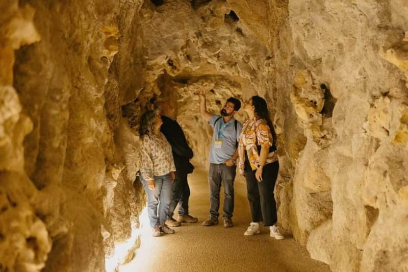 Sintra: Quinta da Regaleira Entry Ticket and Guided Tour - The Main Event: Quinta da Regaleira