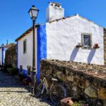 Sintra & The Amazing Dream Villages Private Luxury Tour - Real Traveler Insights