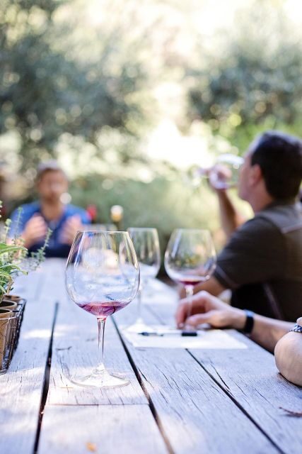 Sip & Savor: Ston and Peljesac Vineyards Extravaganza - Why Peljesac’s Vineyards Are a Must-See