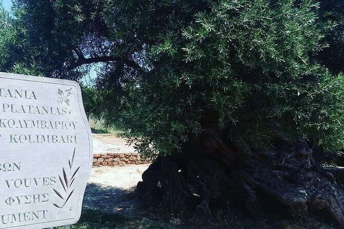 Sips of Crete: Flavors, Legends & Hidden Gems - The Itinerary: A Deeper Dive