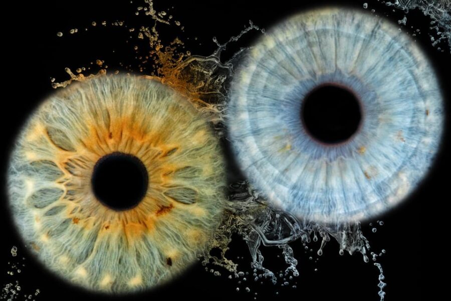 Siracusa Iris Photography Experience - Why This Experience Is a Good Fit