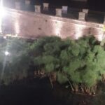 Siracusa Tour: Ortigia by Night in English - Key Points
