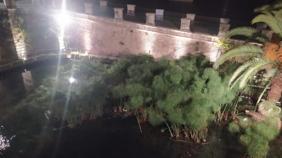 Siracusa Tour: Ortigia by Night in English - Key Points
