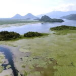 SKADAR LAKE: A national park with amazing flora and fauna! - Key Points
