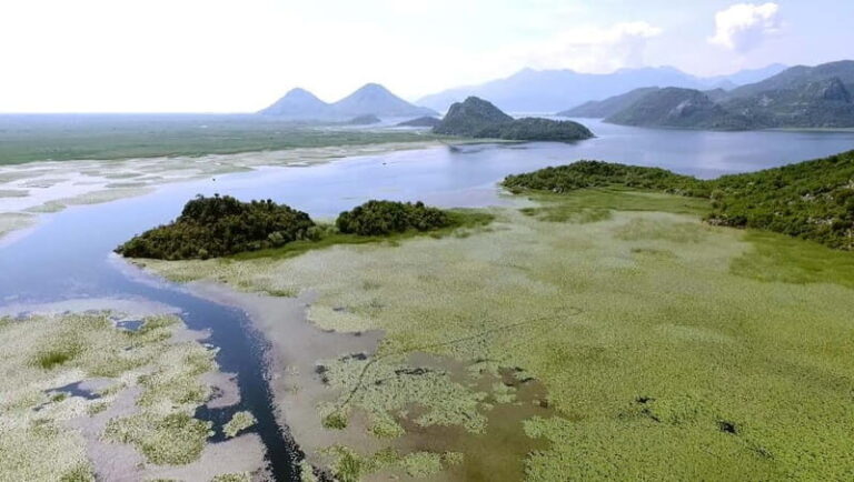 SKADAR LAKE: A national park with amazing flora and fauna! - Key Points