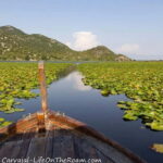 Skadar Lake Boat Tour with Transfer from Podgorica - Why Travelers Love This Tour