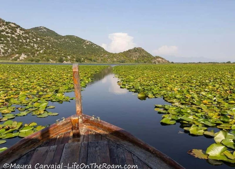 Skadar Lake Boat Tour with Transfer from Podgorica - Why Travelers Love This Tour