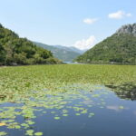 Skadar Lake full-day tour from Kotor - FAQ