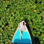 Skadar Lake Nature Cruise with Free Drinks - The Itinerary in Detail
